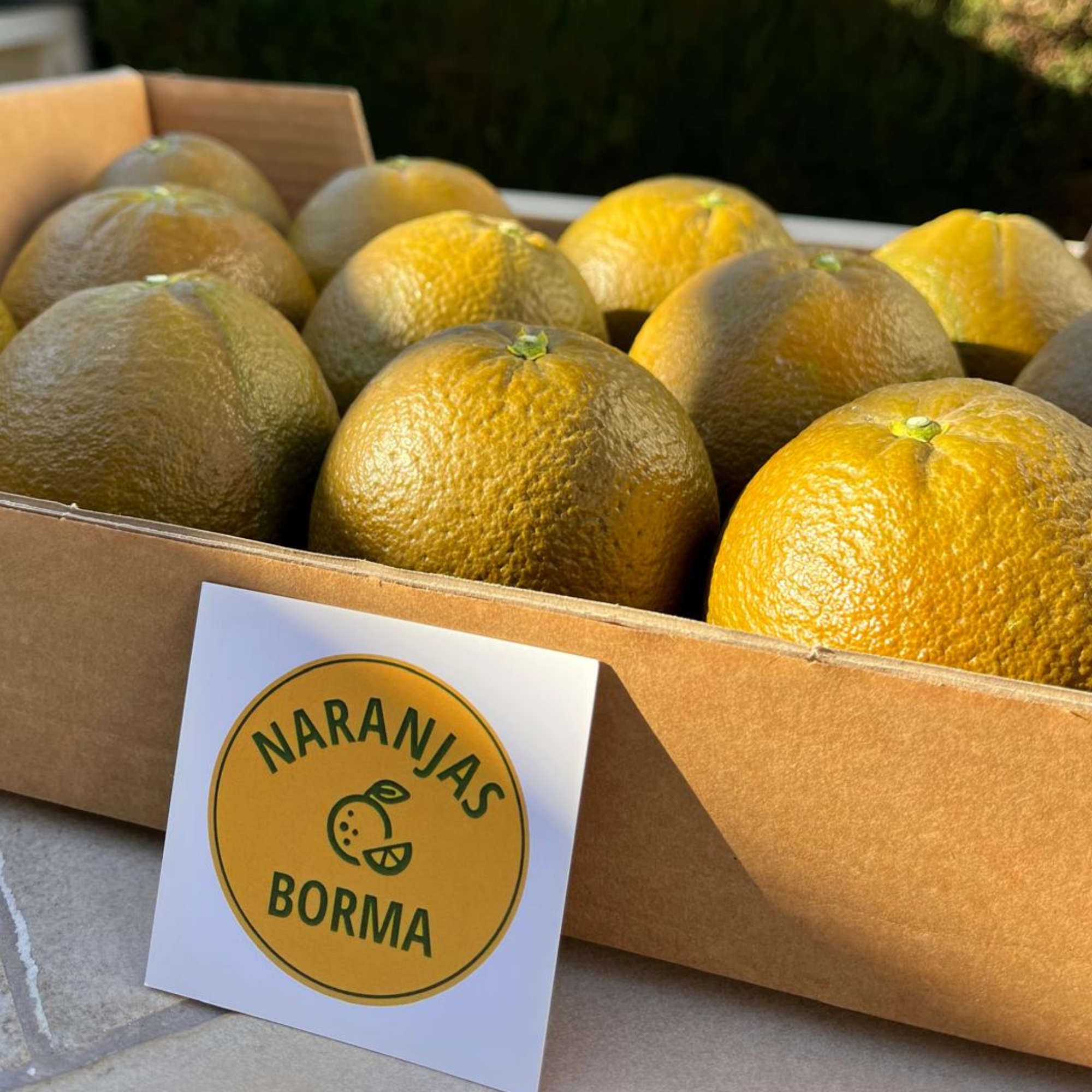 Naranjas Navel Chocolate | Premium directas del agricultor